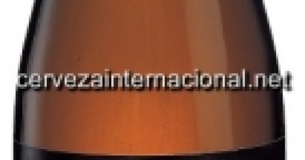 Ciney Blonde - Cerveza Belga Ale 25cl - Ale