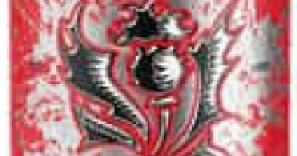 Gordon Xplosion Red Fruit - Cerveza Belga Afrutada LATA 50cl - Fruit Beer